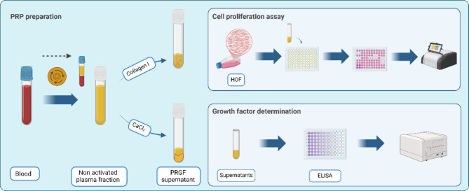 Platelet-rich plasma activation: are there differential effects in ...