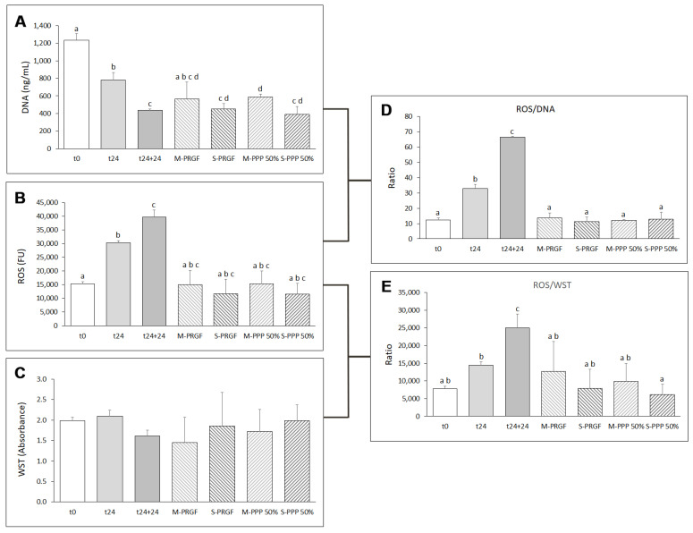 PRGF Membrane with Tailored Optical Properties Preserves the ...