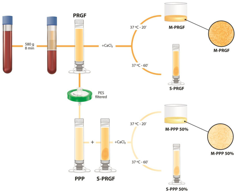 PRGF Membrane with Tailored Optical Properties Preserves the Cytoprotective Effect of Plasma ...