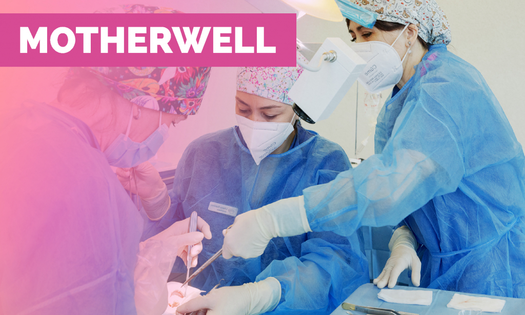 BTI Implant System & Endoret® (PRGF®) technology – BTI Training Center