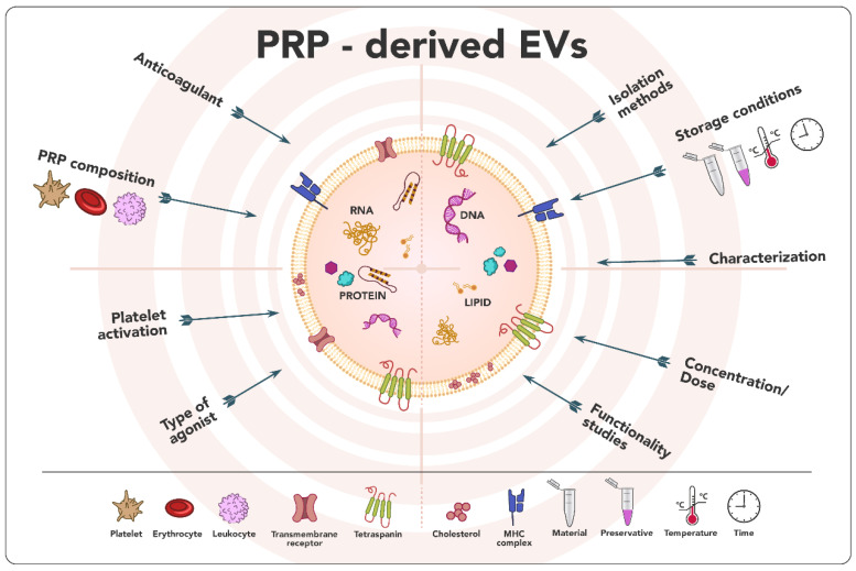 Advances In Platelet Rich Plasma Derived Extracellular Vesicles For